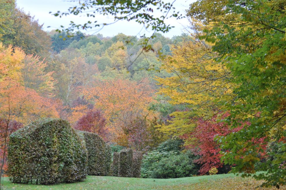 Découvrir l’arboretum | Arboretum de la Sédelle